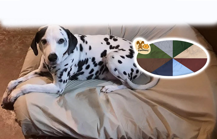 Simplify Dog Bed Care and Maintenance with PawSheets – PawSheets®
