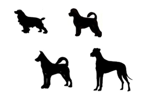 Simplify Dog Bed Care and Maintenance with PawSheets – PawSheets®